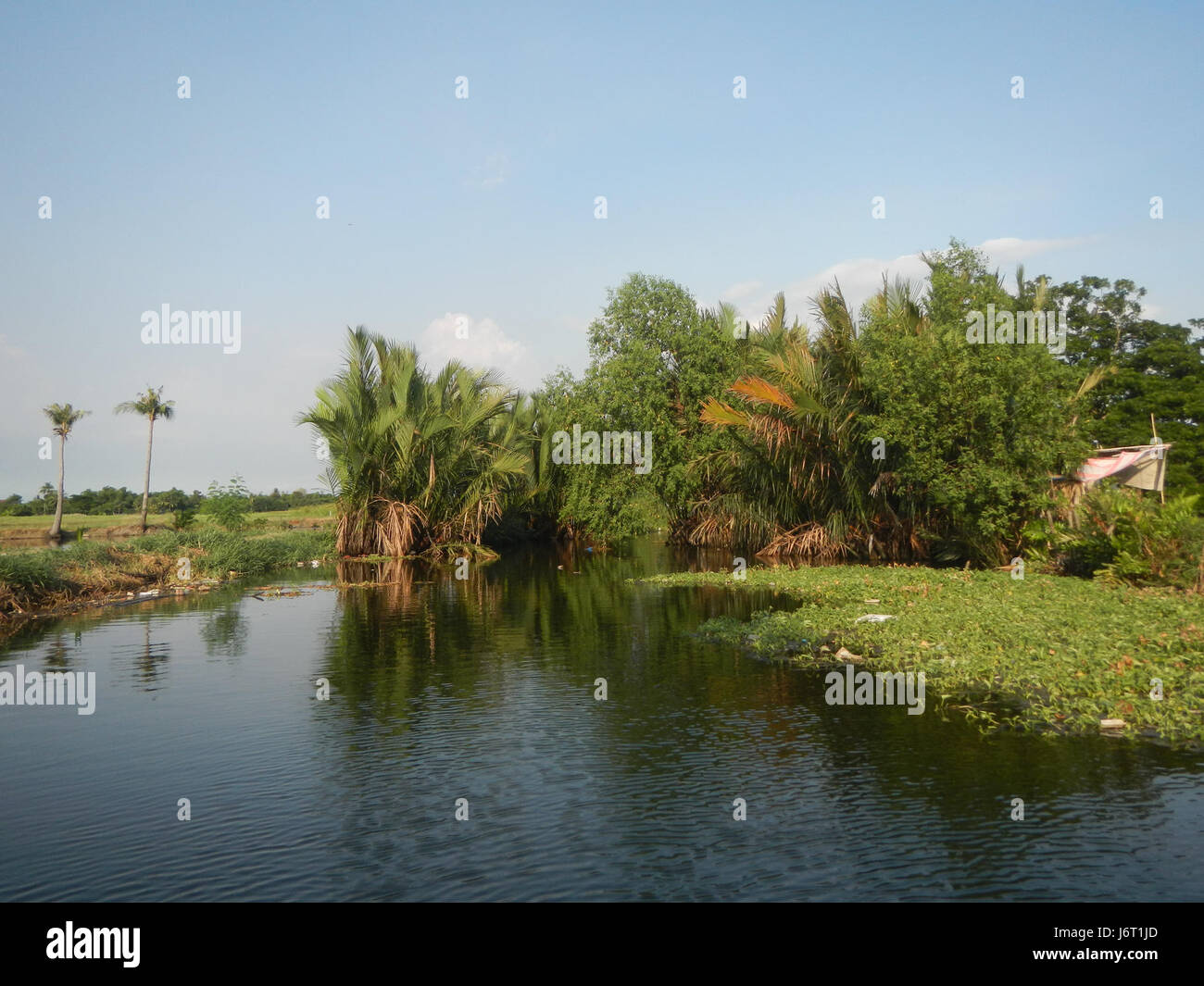 09827 Malolos River Districts City Nipa trees Bulacan Landmarks 31 ...