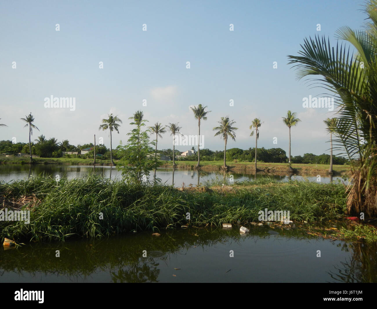 This image captures the Malolos River districts in Bulacan, Philippines ...