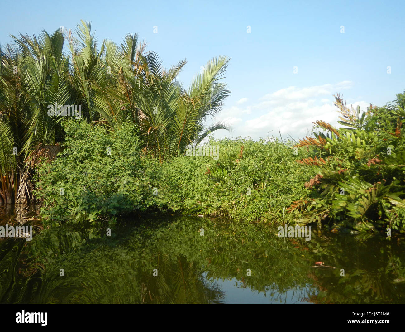 Photograph or map of the Malolos River District in Bulacan, featuring ...