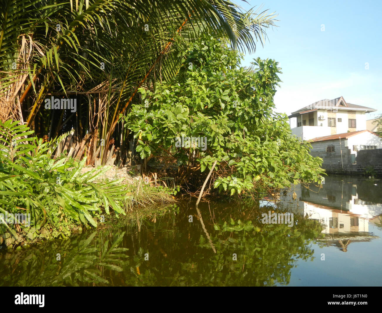 09876 Malolos River Districts City Nipa trees Bulacan Landmarks 39 ...