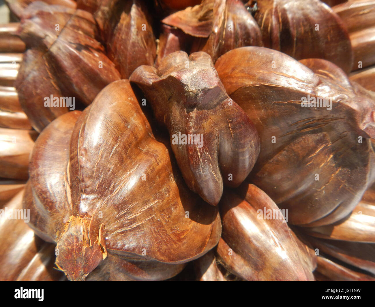 Environmental impact of medicines hi-res stock photography and images ...