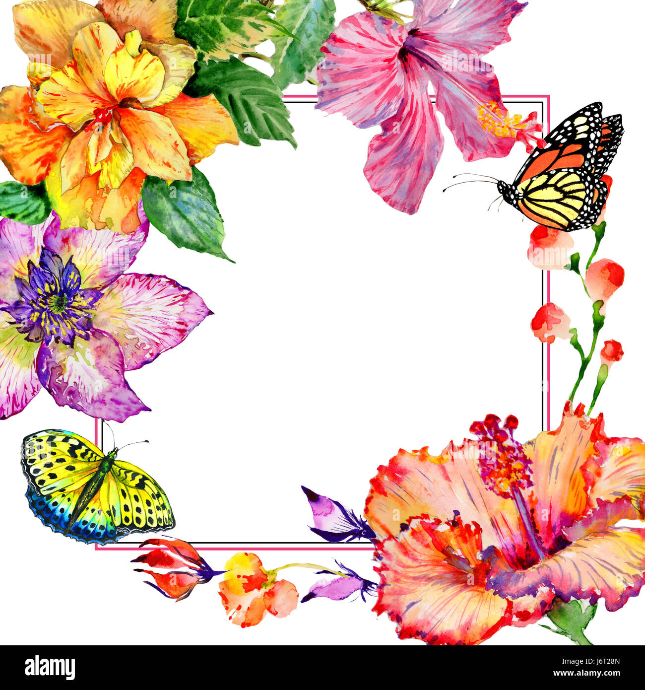 Wildflower hibiscus flower frame in a watercolor style isolated Stock ...