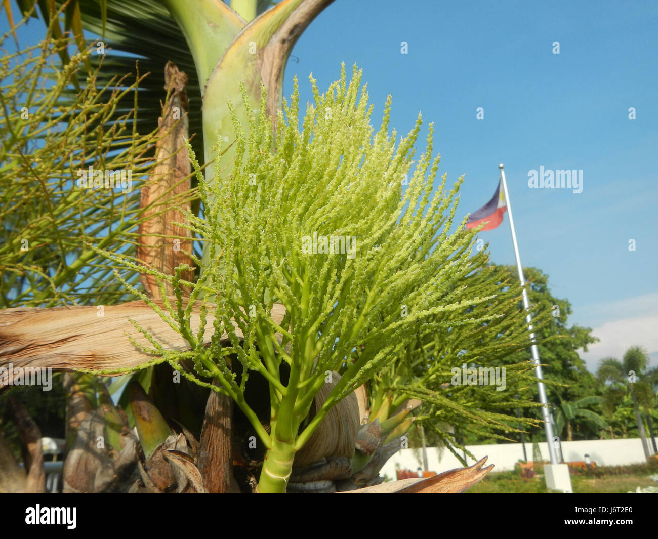 The Marcelo H. Del Pilar National Shrine in Bulacan honors the life and ...