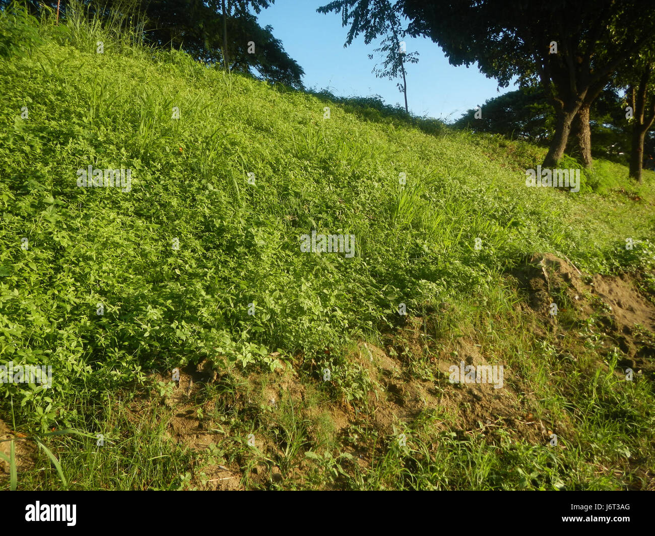 0846 Marikina River Park Banks Barangka Landmarks Calumpang 04 Stock ...
