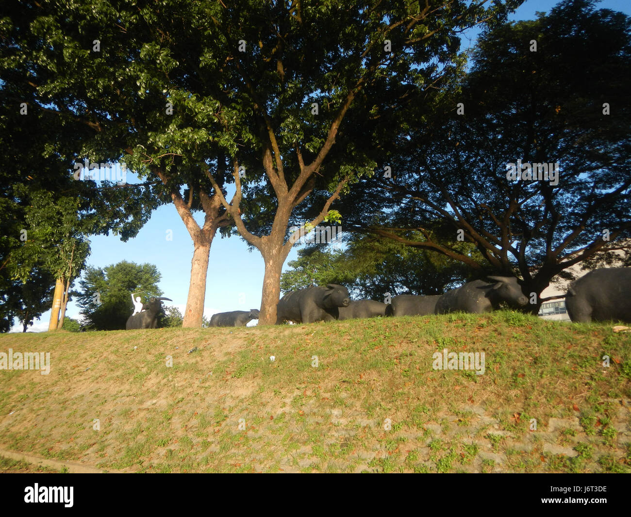 0894 Marikina River Park Banks Barangka Landmarks Calumpang 19 Stock ...