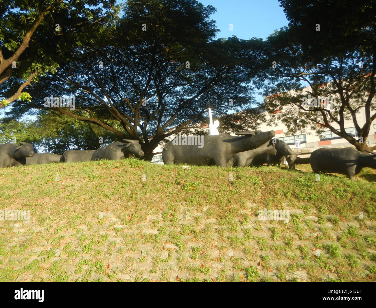 0894 Marikina River Park Banks Barangka Landmarks Calumpang 20 Stock ...