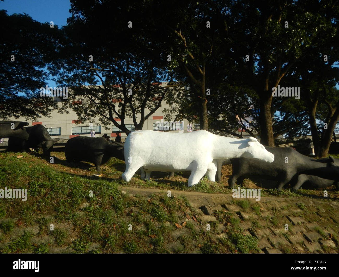 The Marikina River Park features a collection of carabao statues, which ...