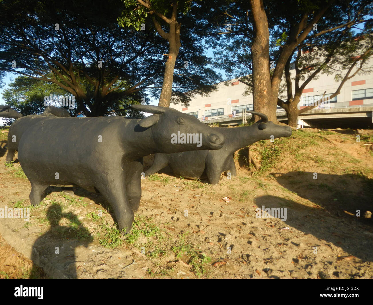 This image showcases the Carabao statues at Marikina River Park, a ...