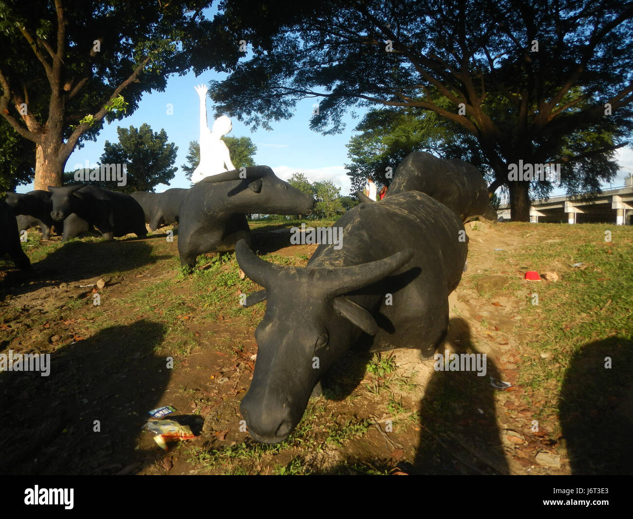 This image showcases statues of carabaos at the Marikina River Park in ...