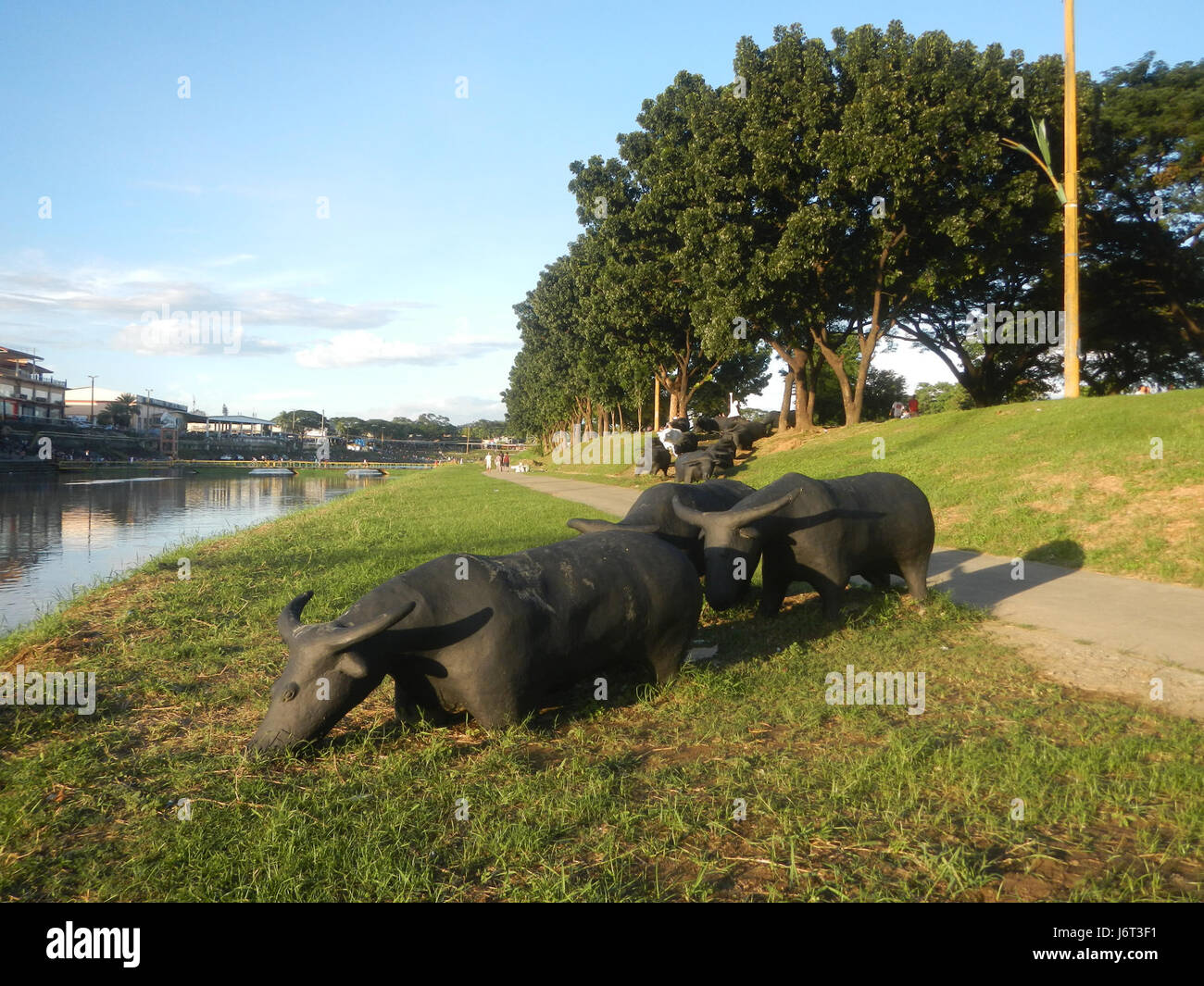 This photograph shows statues of carabaos (water buffaloes) located at ...