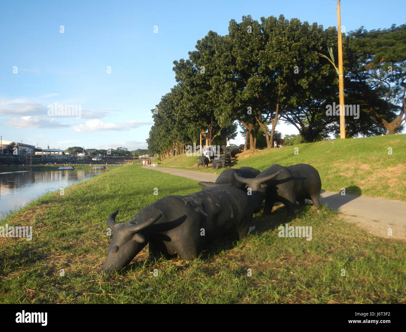 This image showcases the Carabao statues located at Marikina River Park ...