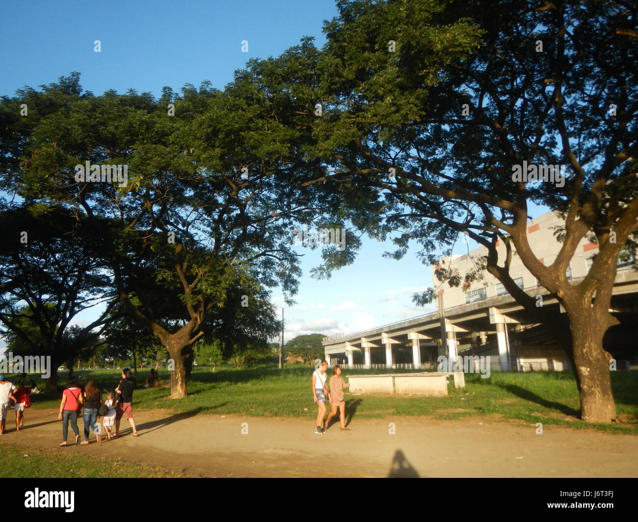 0939 Marikina River Park Carabaos statues 23 Stock Photo - Alamy