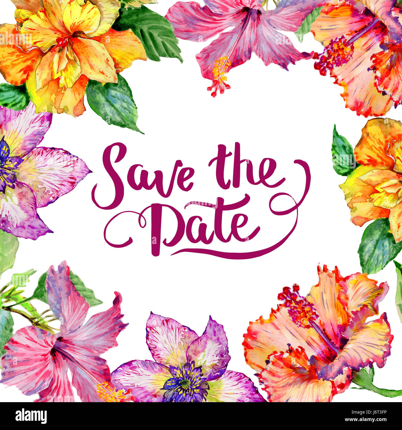 Wildflower hibiscus flower frame in a watercolor style isolated Stock ...