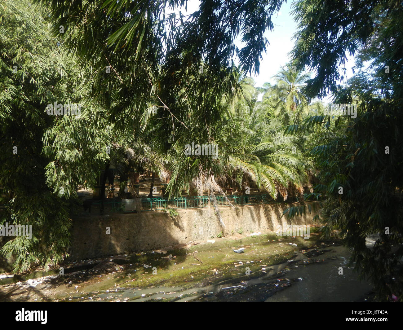 The Ermin Garcia Street Footbridge crosses the Lagarian Bridge over the ...