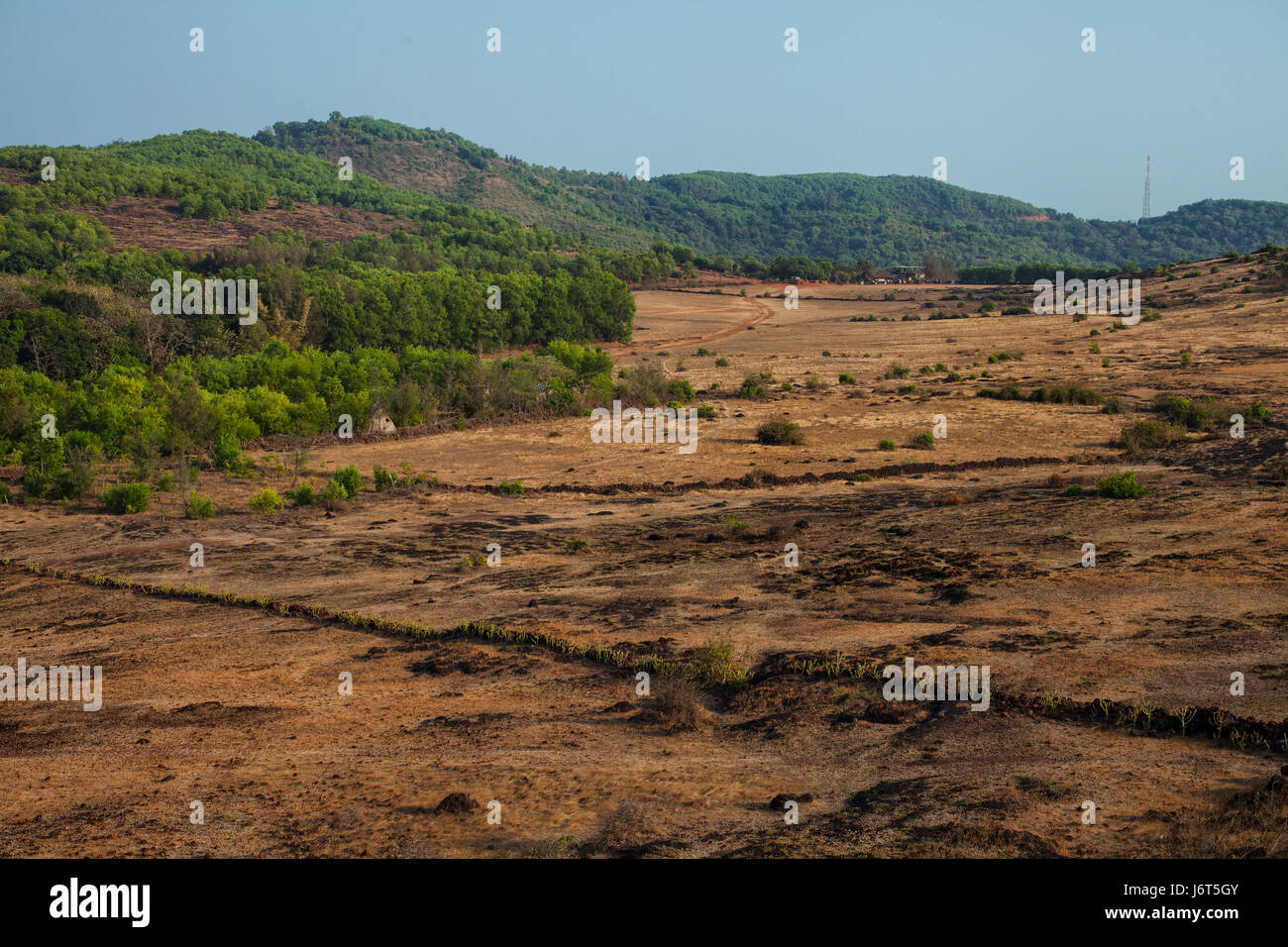 Beautiful landscape with flat terrain and hills covered with forests ...