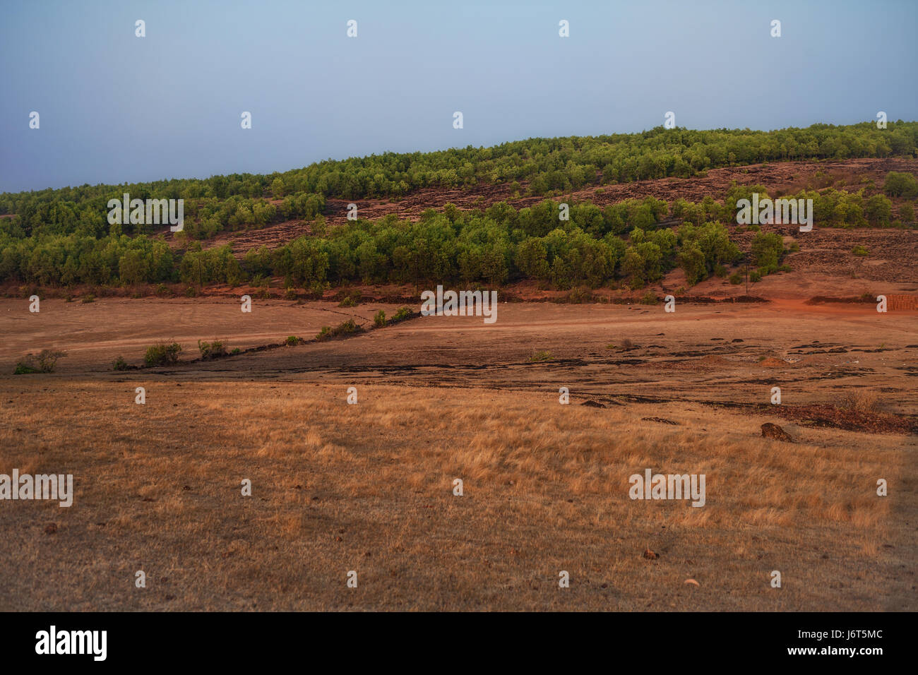 Beautiful landscape with flat terrain and hills covered with forests ...