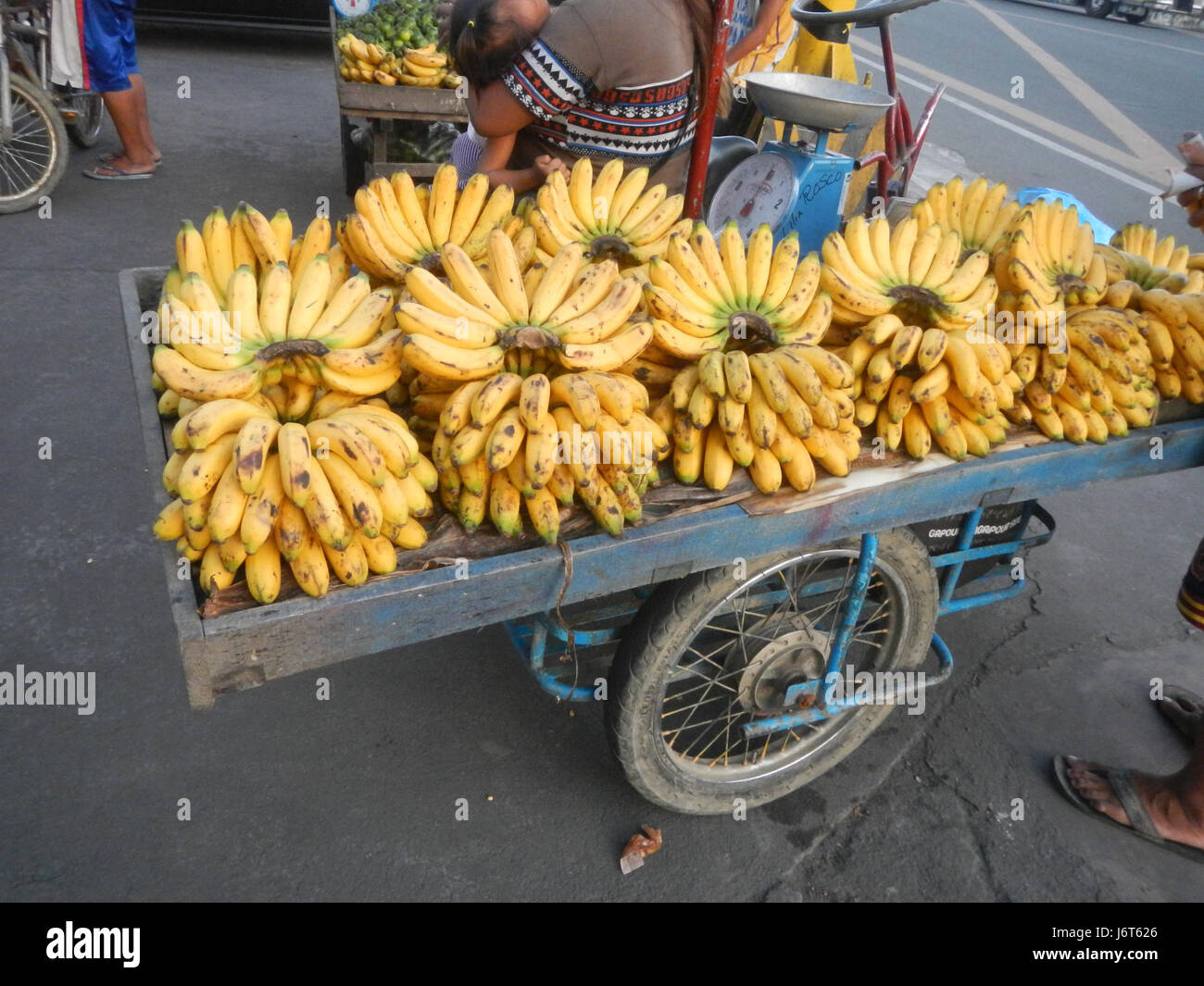 This image features the Immaculate Conception Parish Church, located on ...