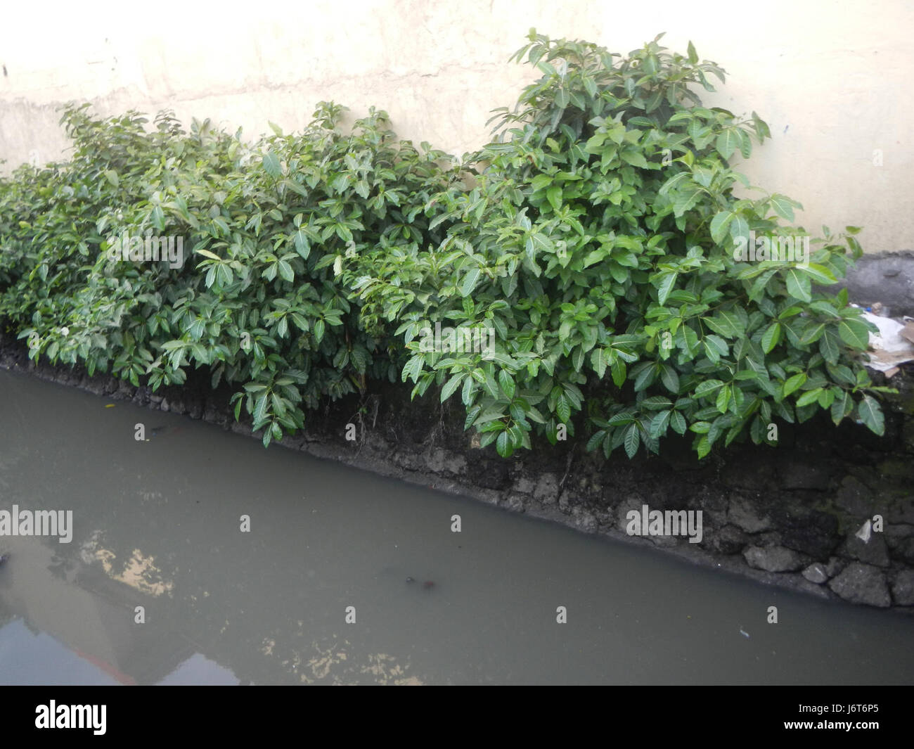 0802 General Kalentong Street Bridge Creek Mandaluyong City 14 Stock ...