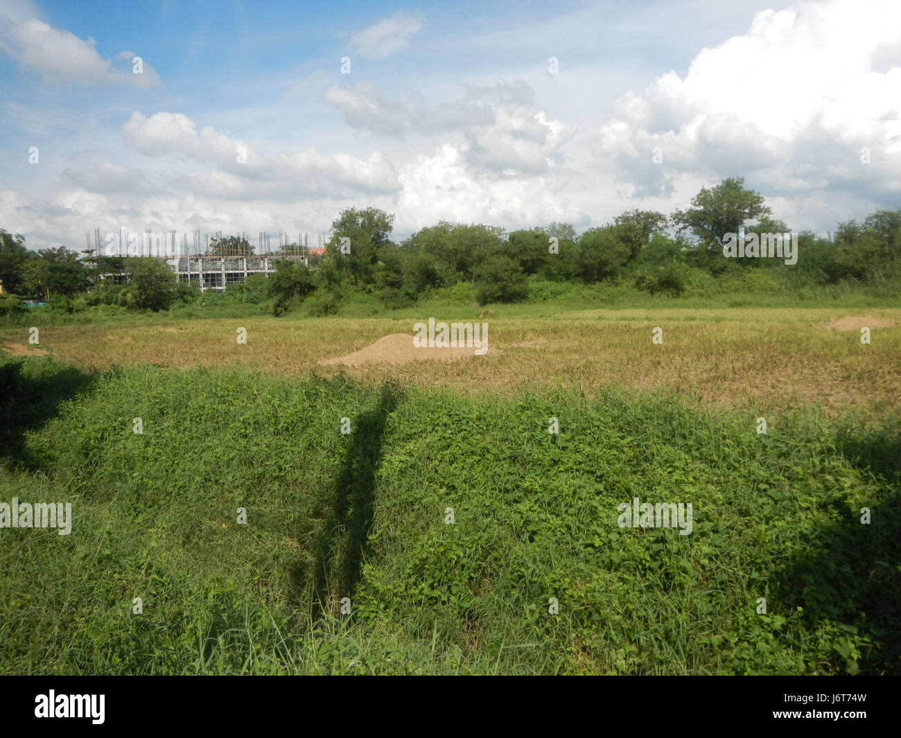 09765 Maguinao Fields Grasslands San Rafael Bulacan 09 Stock Photo - Alamy