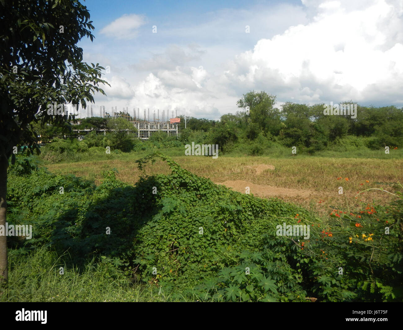 09765 Maguinao Fields Grasslands San Rafael Bulacan 25 Stock Photo - Alamy
