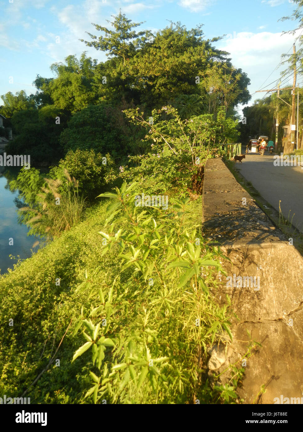 This image captures a sunset view of the San Miguel Bridge over the San ...