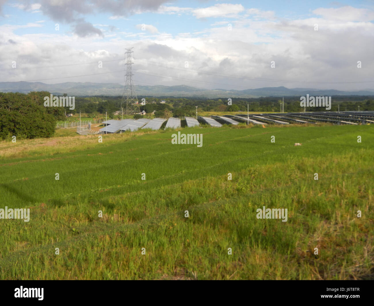 06031 Pasong Inchik Paddy fields SPARC San Rafael, Bulacan 17 Stock ...