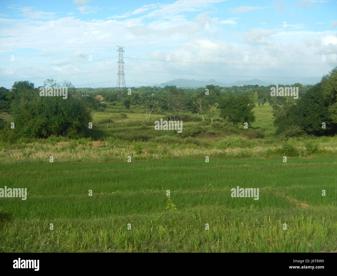 The Pasong Inchik paddy fields in San Rafael, Bulacan, are part of a ...