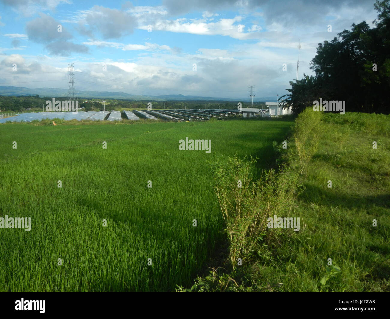 This image depicts the paddy fields in Pasong Inchik, San Rafael ...