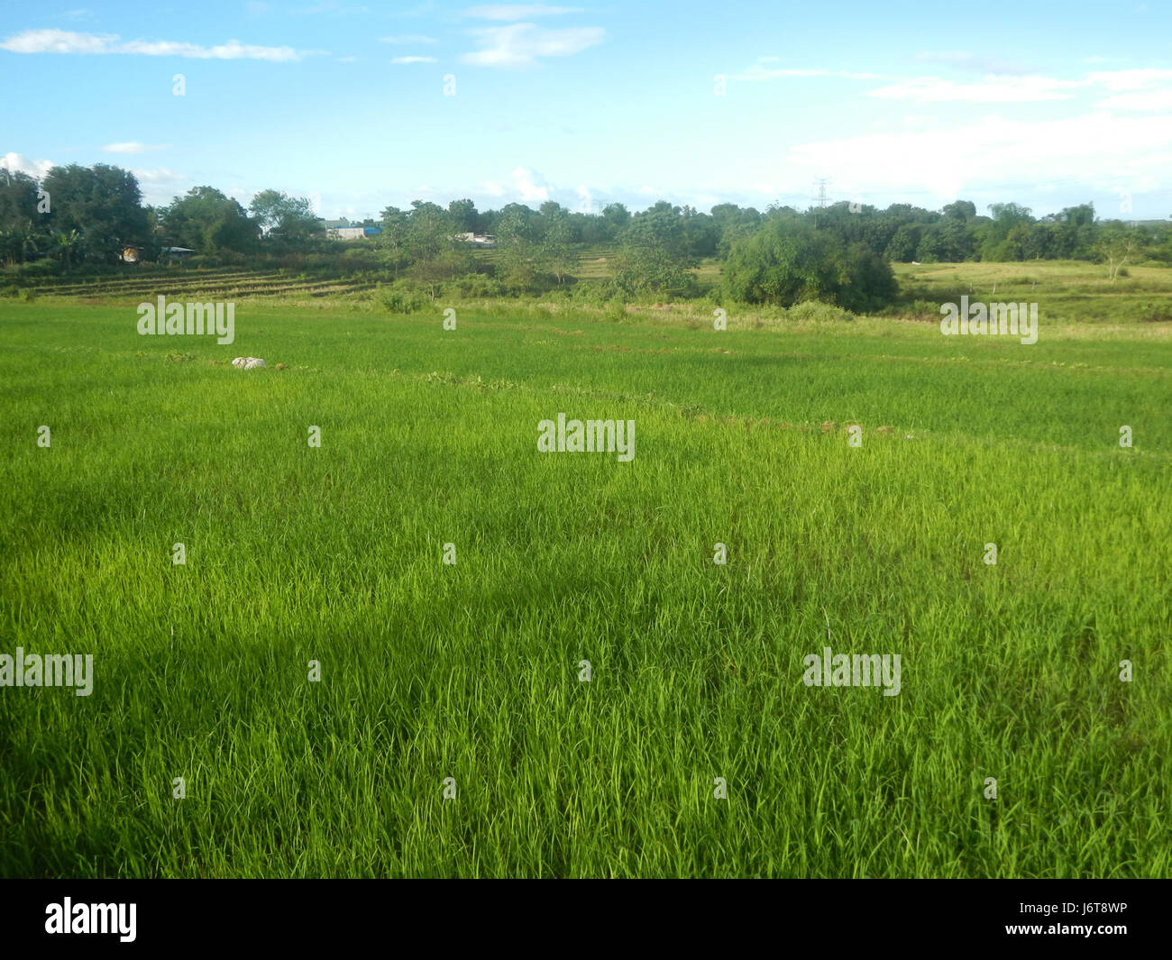 This image depicts the rural landscape of Pasong Inchik, located in San ...