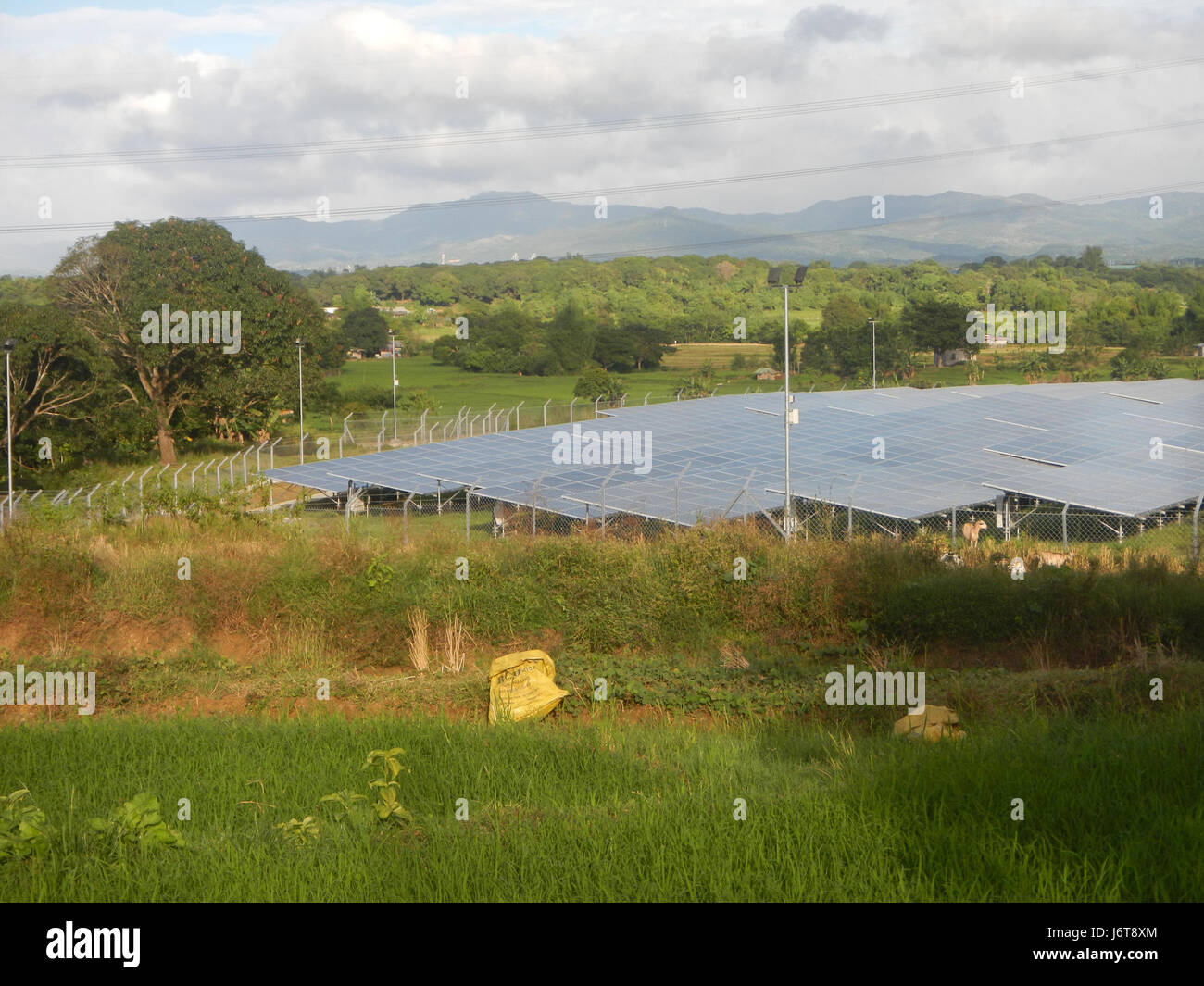 06081 Pasong Inchik Paddy fields SPARC San Rafael, Bulacan 11 Stock ...