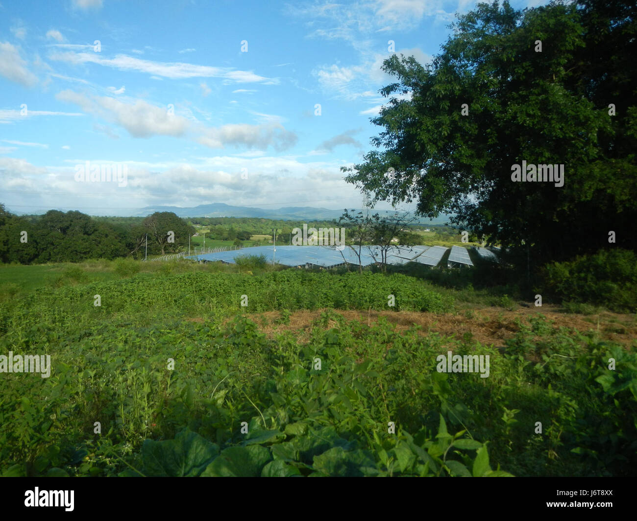 The Pasong Inchik Paddy Fields in San Rafael, Bulacan, are agricultural ...
