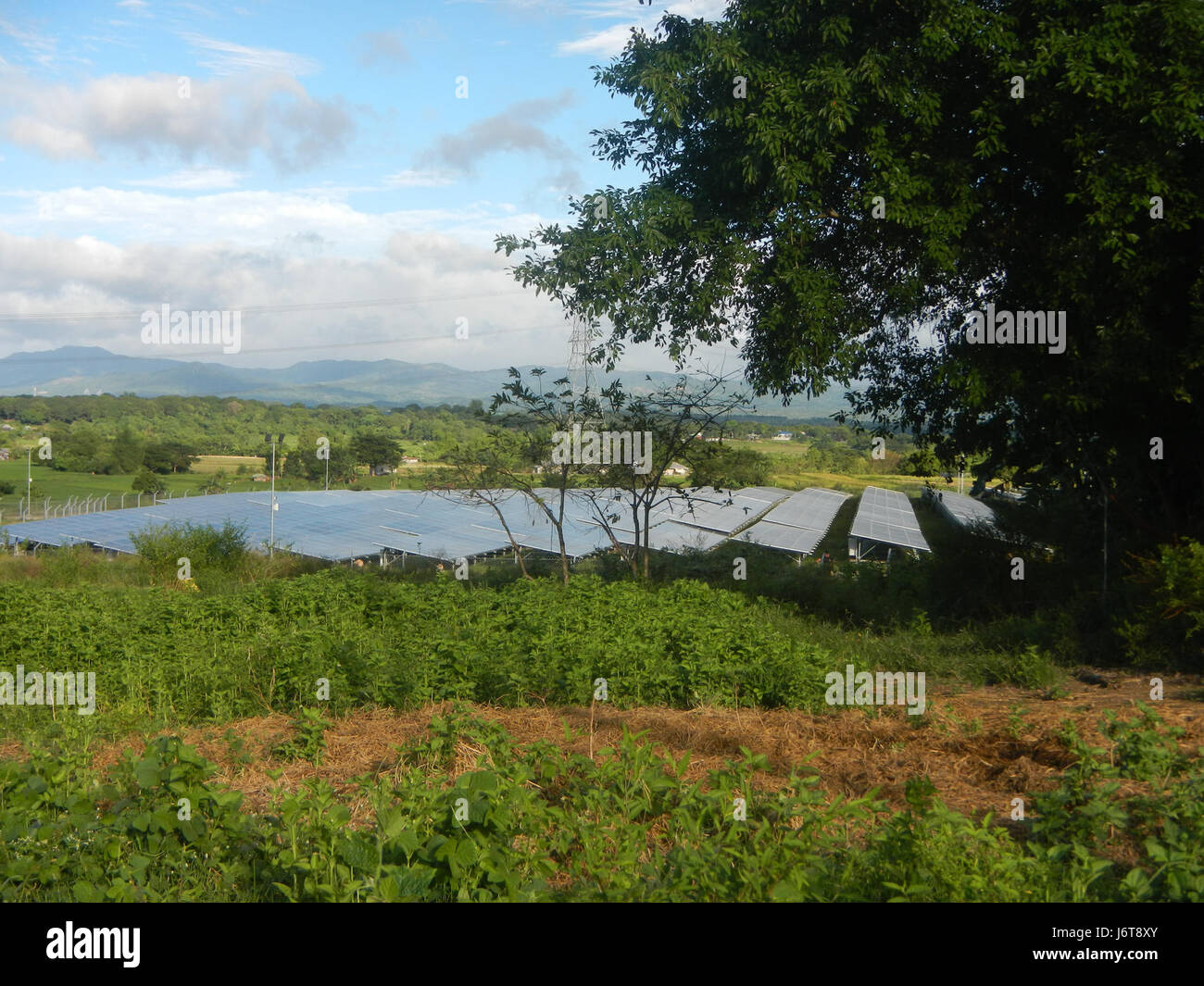 This title refers to the agricultural landscape of Pasong Inchik in San ...