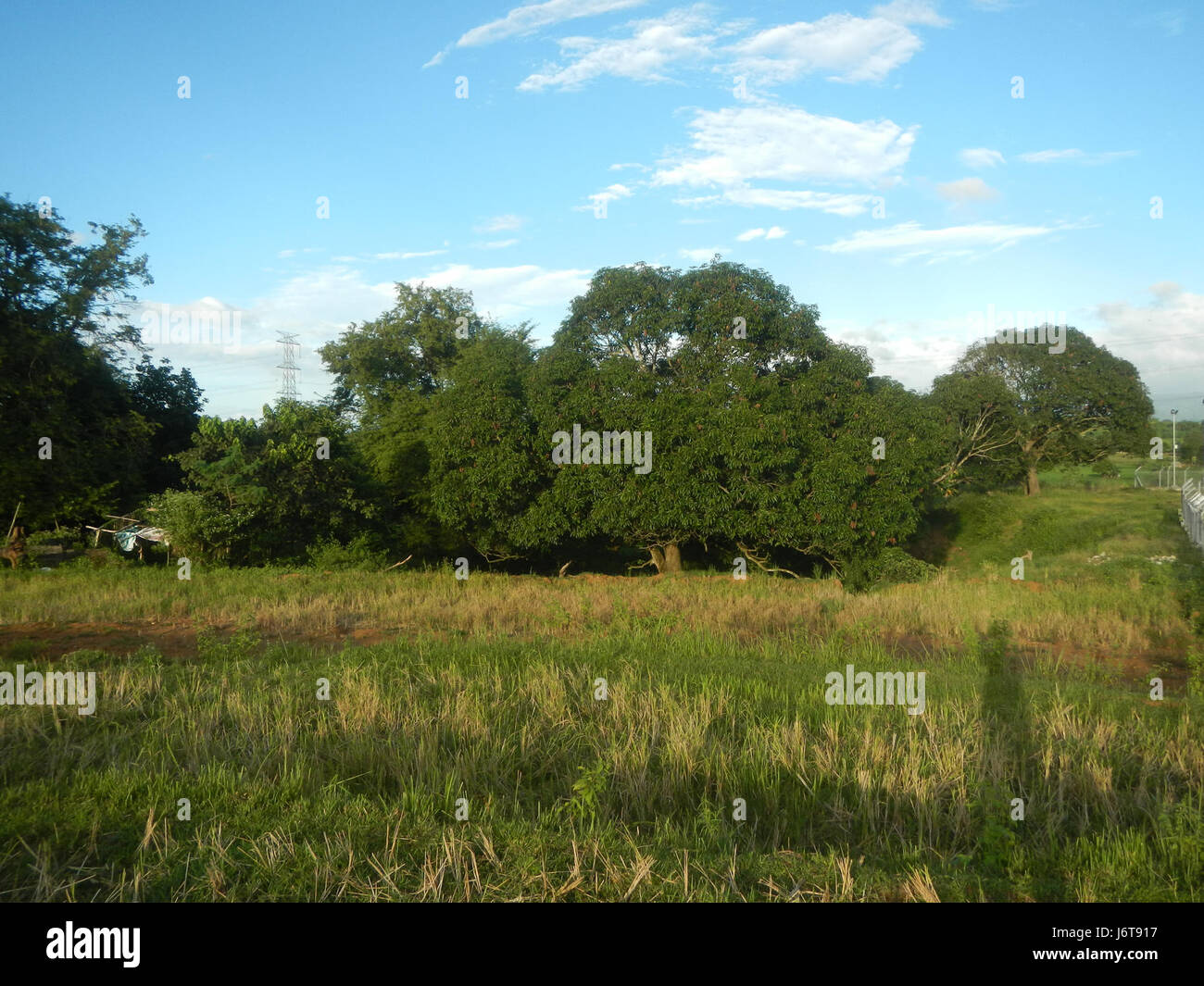 06260 Solar Powered Agri-Rural Communities paddy fields Pasong Inchik ...