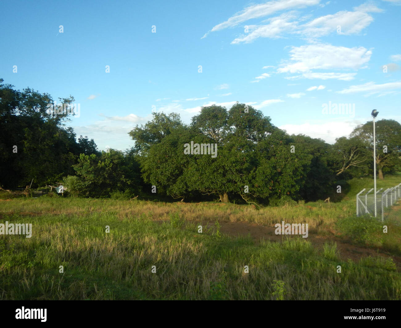 Farms used for solar hi-res stock photography and images - Alamy
