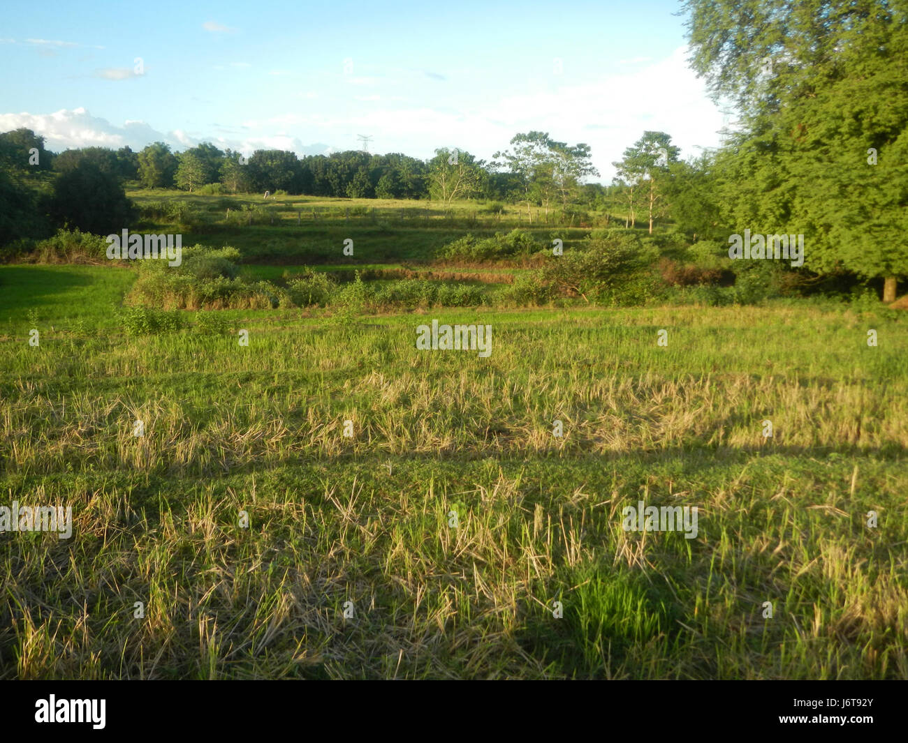 06290 SPARC Solar Powered Agri-Rural Communities Pasong Inchik,San ...