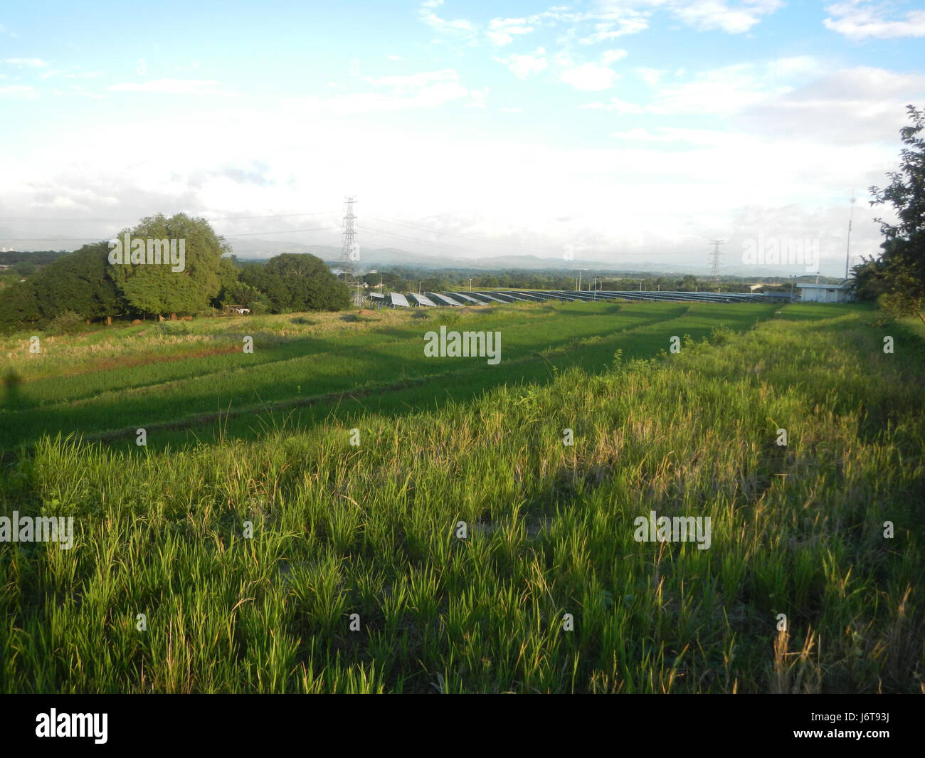 This image highlights the implementation of solar-powered agricultural ...