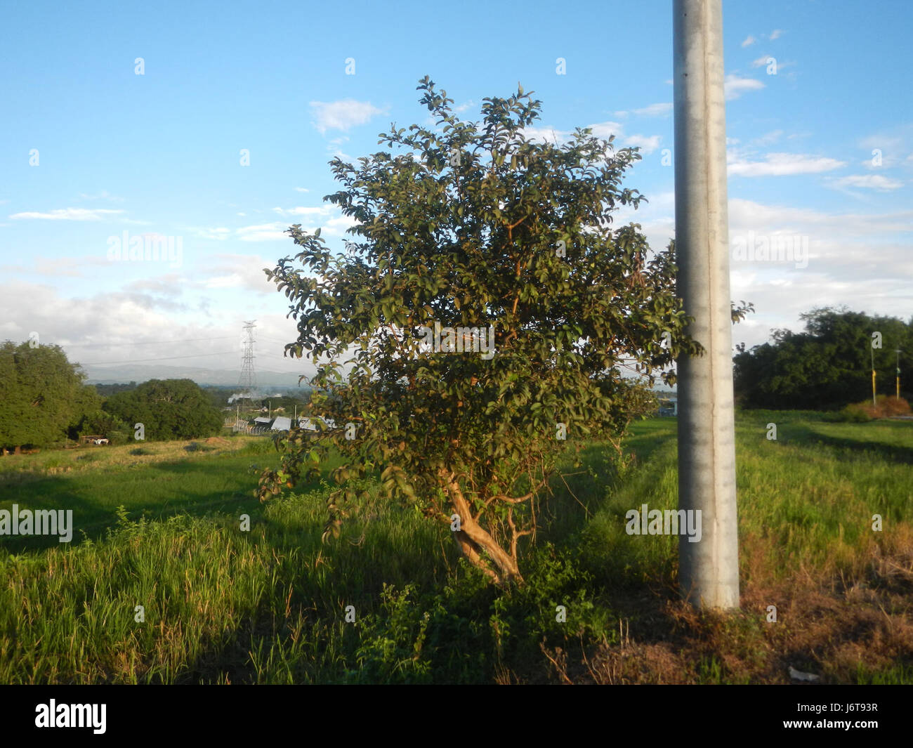 06330 Solar Powered Agri-Rural Communities paddy fields Pasong Inchik ...