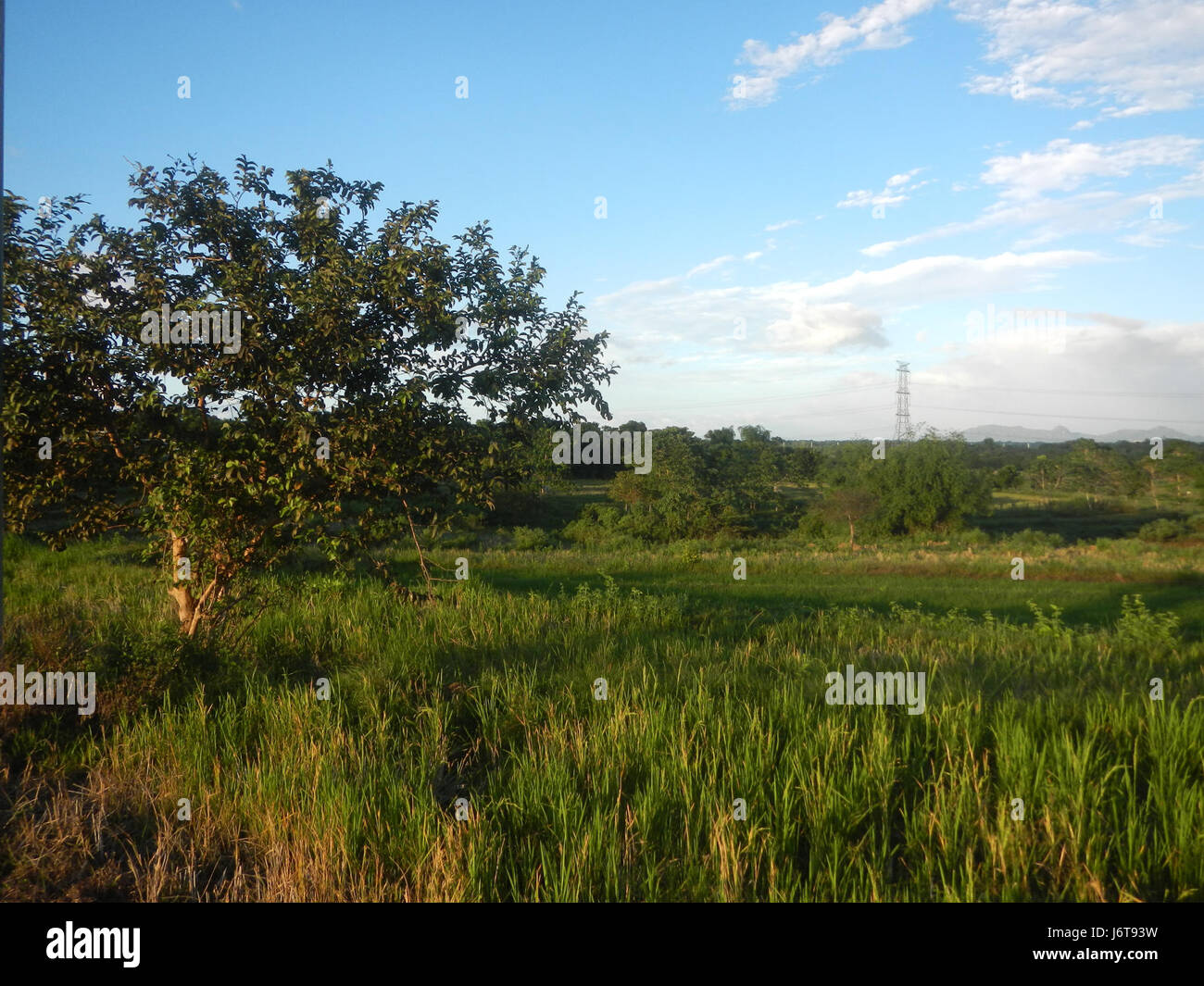 This photograph depicts solar-powered agricultural communities in the ...