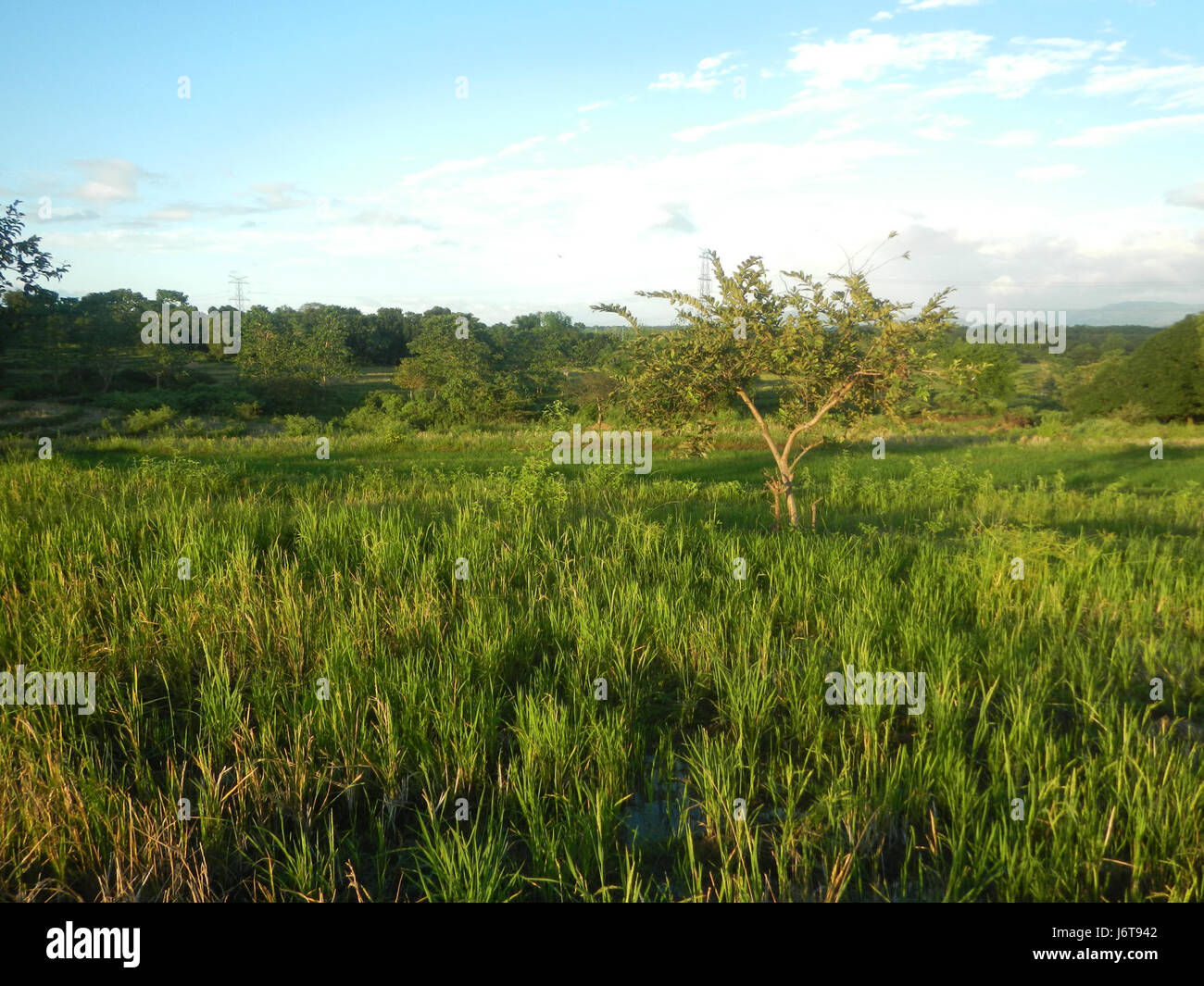 Solar highlights hi-res stock photography and images - Alamy