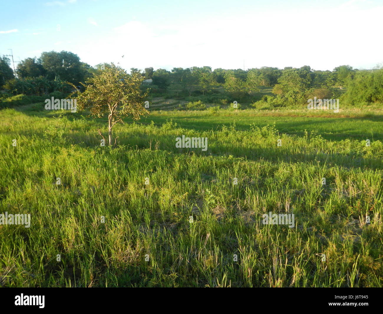 The project in Pasong Inchik, San Rafael, Bulacan focuses on solar ...