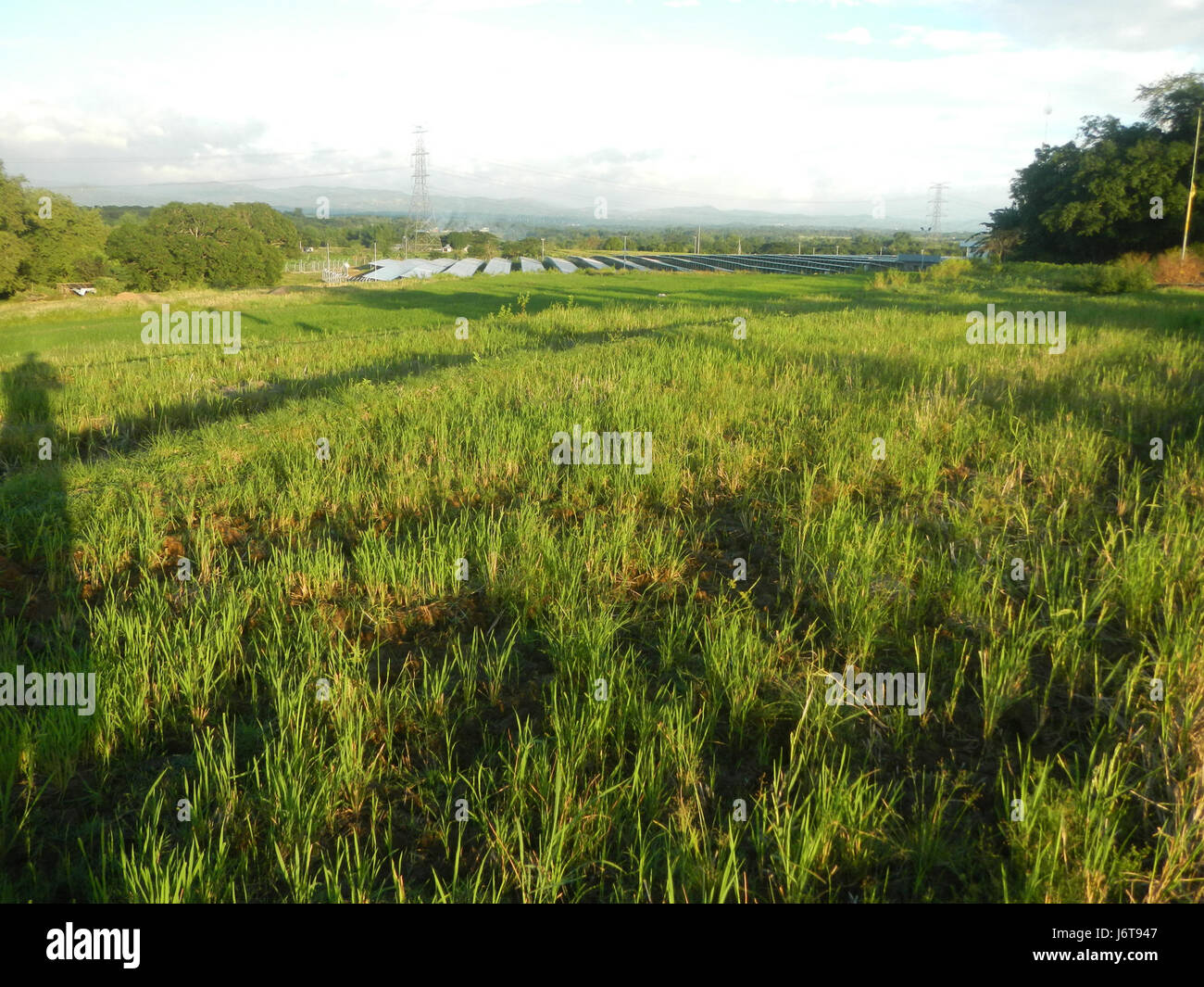 06356 Solar Powered Agri-Rural Communities paddy fields Pasong Inchik ...