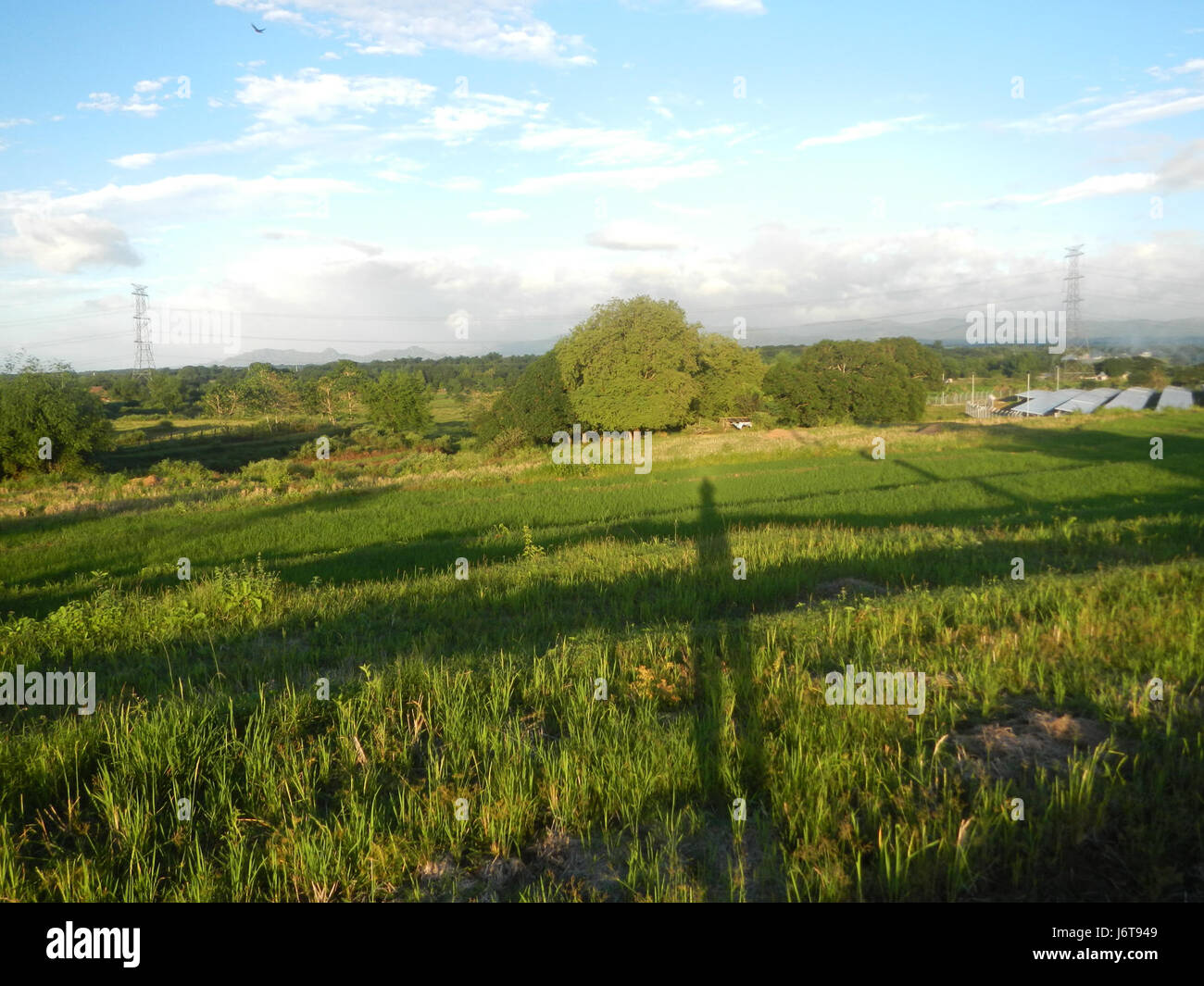 This image showcases solar-powered agricultural communities in the ...