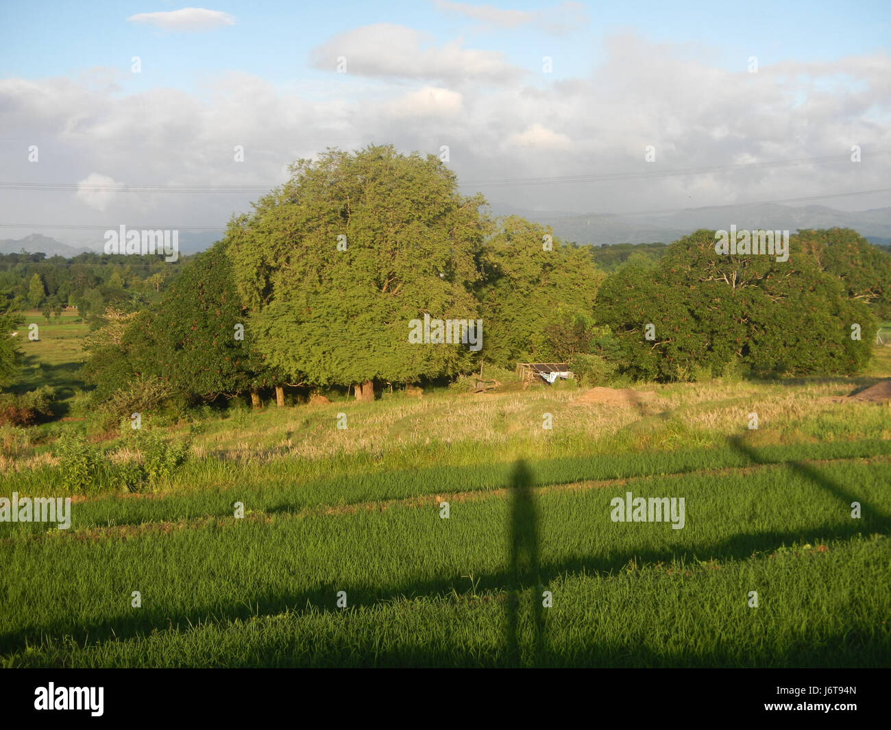 06356 Solar Powered Agri-Rural Communities paddy fields Pasong Inchik ...