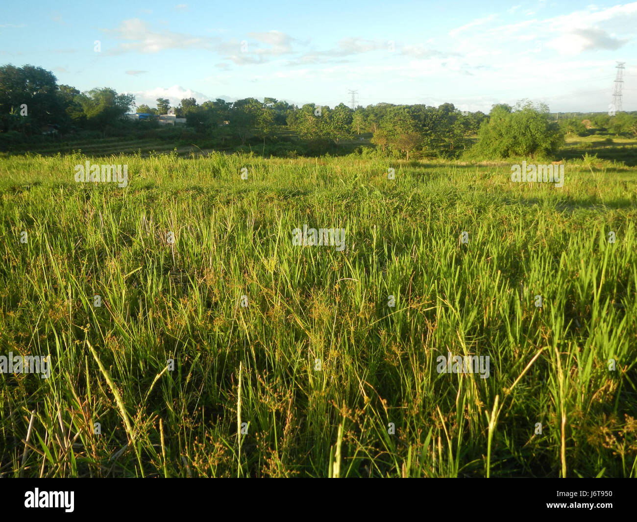 The '06356 Solar Powered Agri-Rural Communities' project focuses on ...