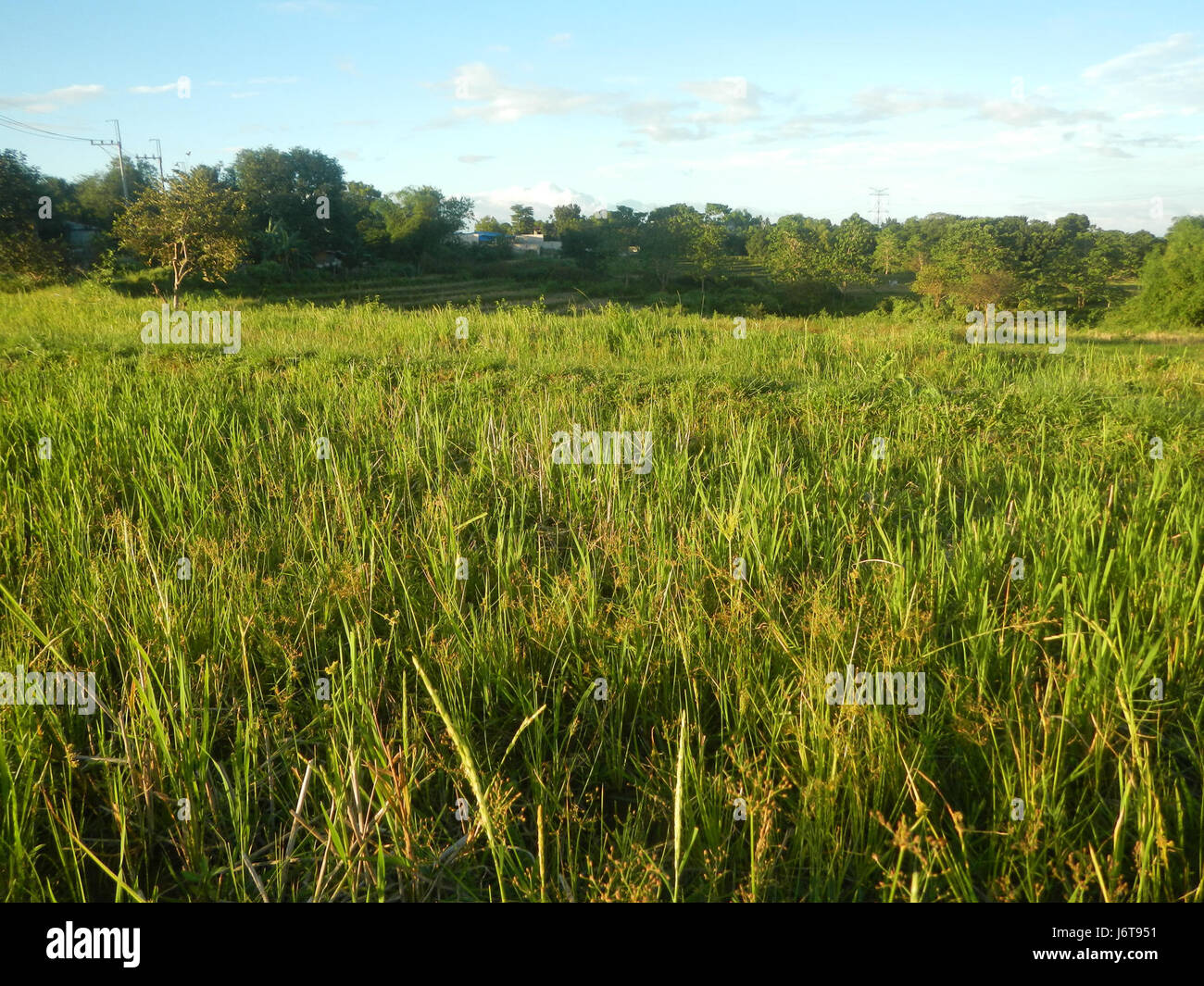 06356 Solar Powered Agri-Rural Communities paddy fields Pasong Inchik ...