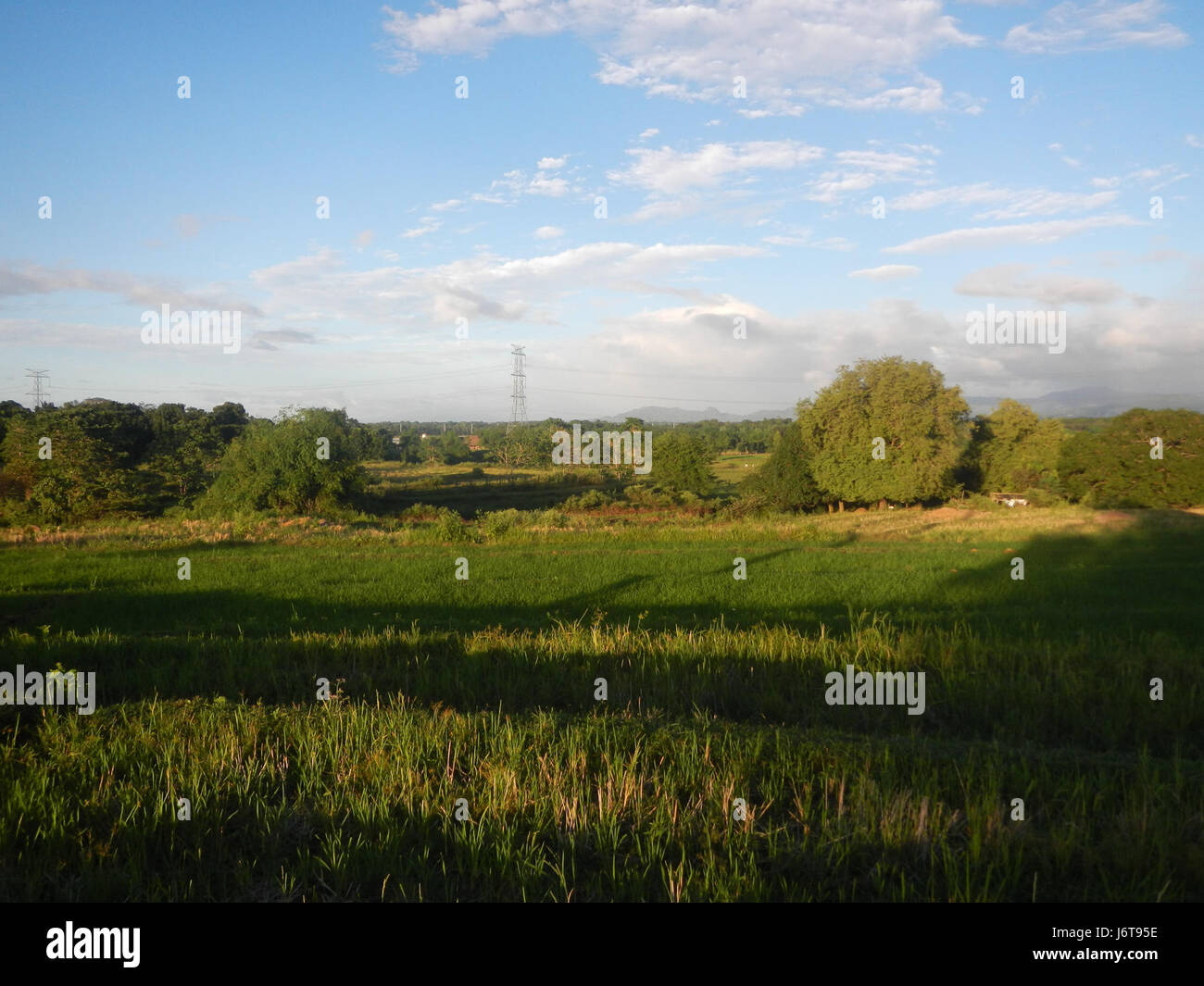 This title refers to paddy fields in the Pasong Inchik area of San ...