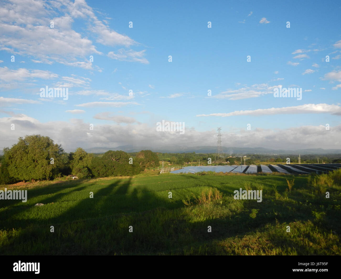 06380 Paddy fields Pasong Inchik San Rafael Bulacan 12 Stock Photo - Alamy
