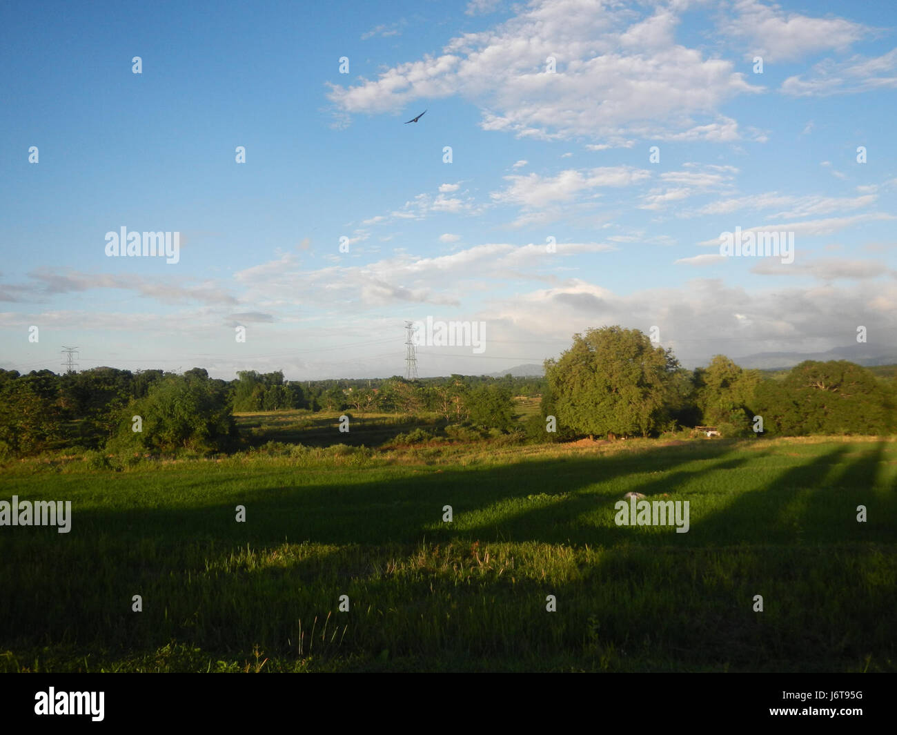This photograph shows the expansive paddy fields in Pasong Inchik ...