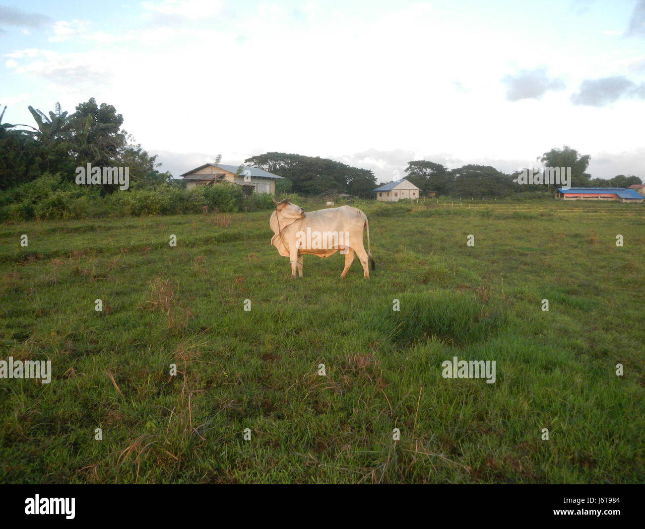 The image describes a rural scene in San Rafael, Bulacan, Philippines ...