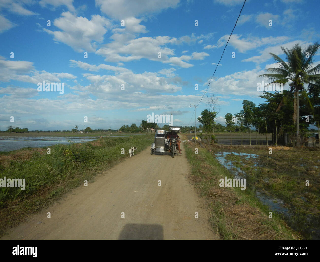 The paddy fields in Bulualto, Parcutela, and Marelo, located in Gapan ...